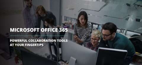 Champion Microsoft Office 365 Support | Marketplace by Marketopia